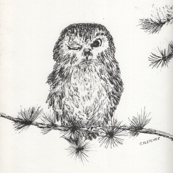 Art | Set Of 6 Nature Pencil Drawings Artist Signed Birds Forest ...